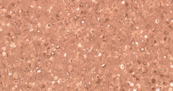 PVC Omogen Polis Grabo cod Clay